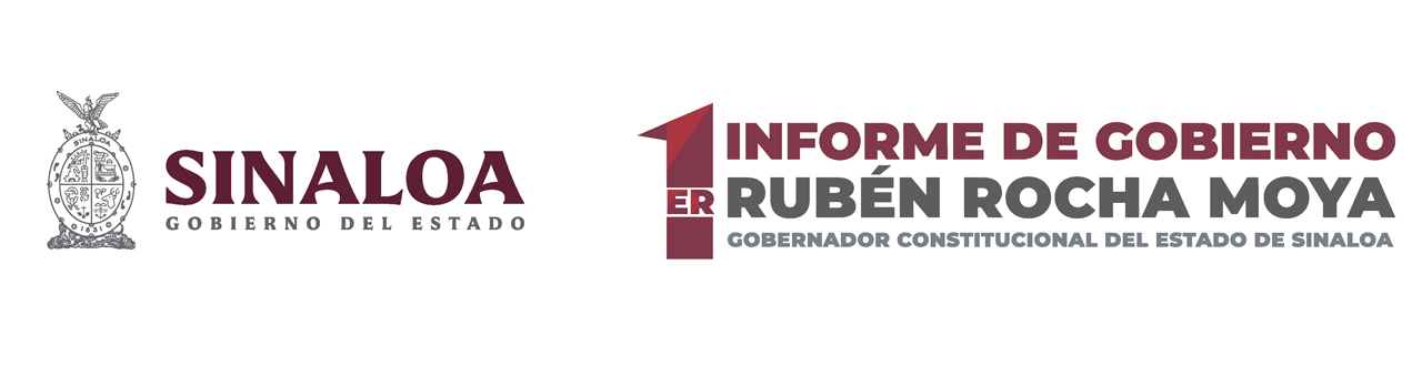 1er Informe De Gobierno